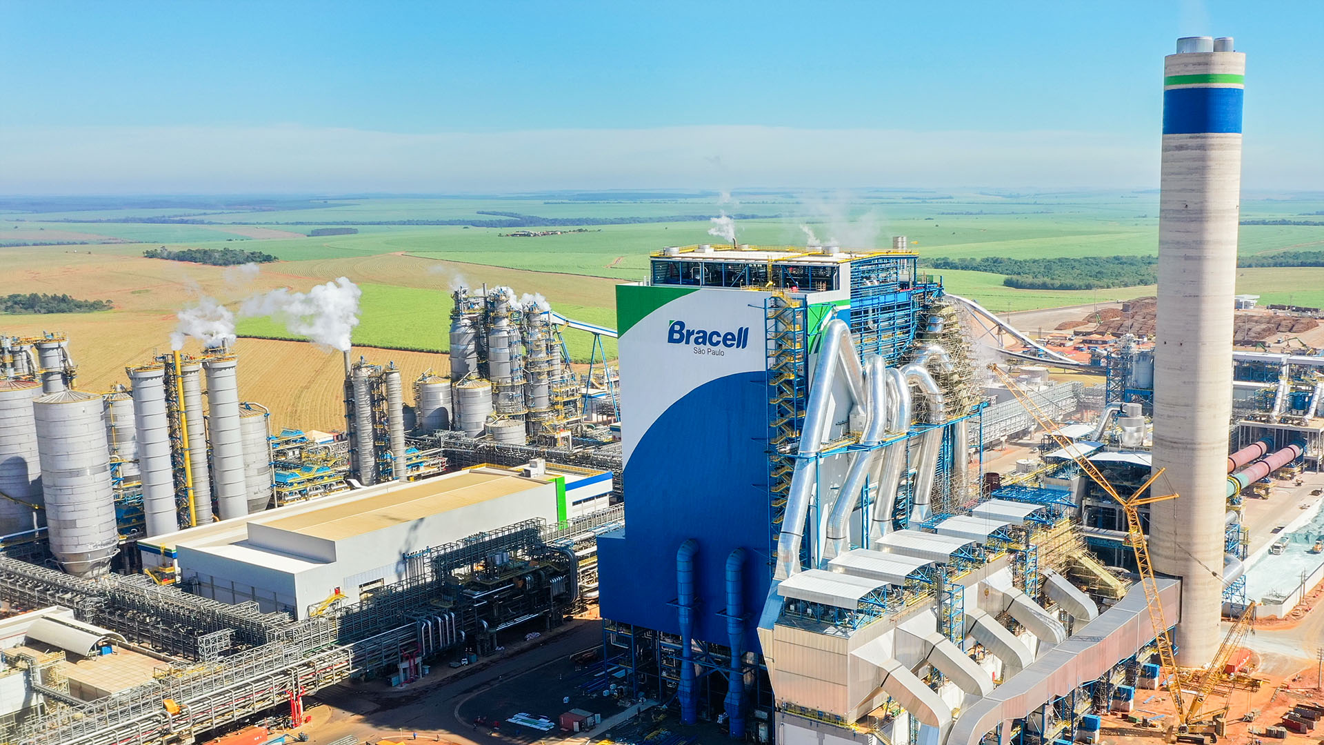 Bracell raised $1.8 billion for the world's largest and greenest pulp ...