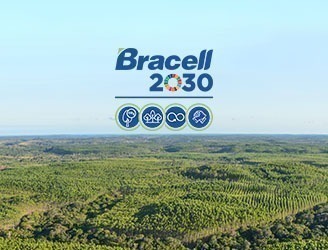 Bracell 2030 - Bracell
