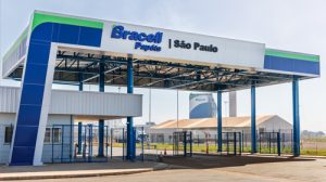 Bracell Papéis - Bracell